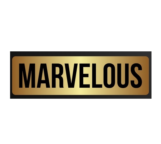 The Marvelous APS Software - Smyte