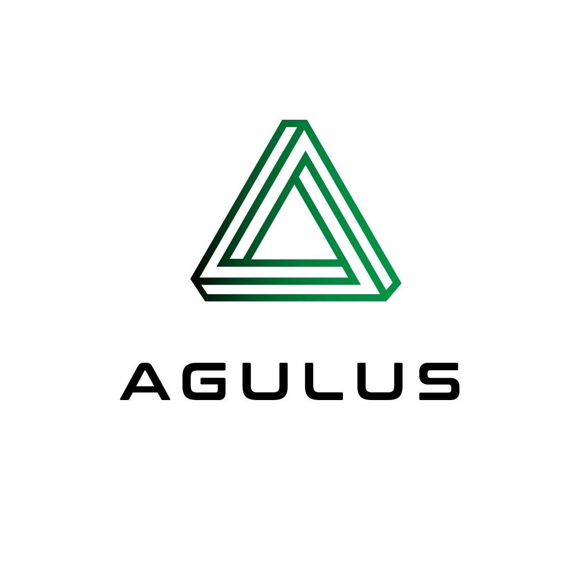 Agulus - Smyte
