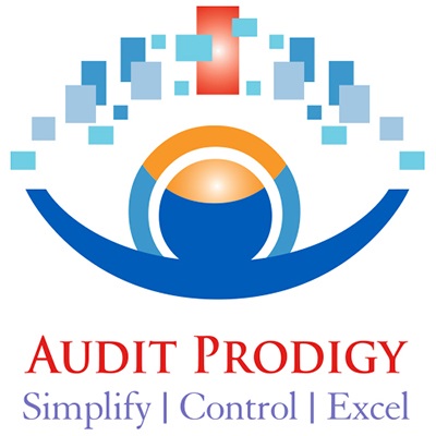 Audit Prodigy - Smyte